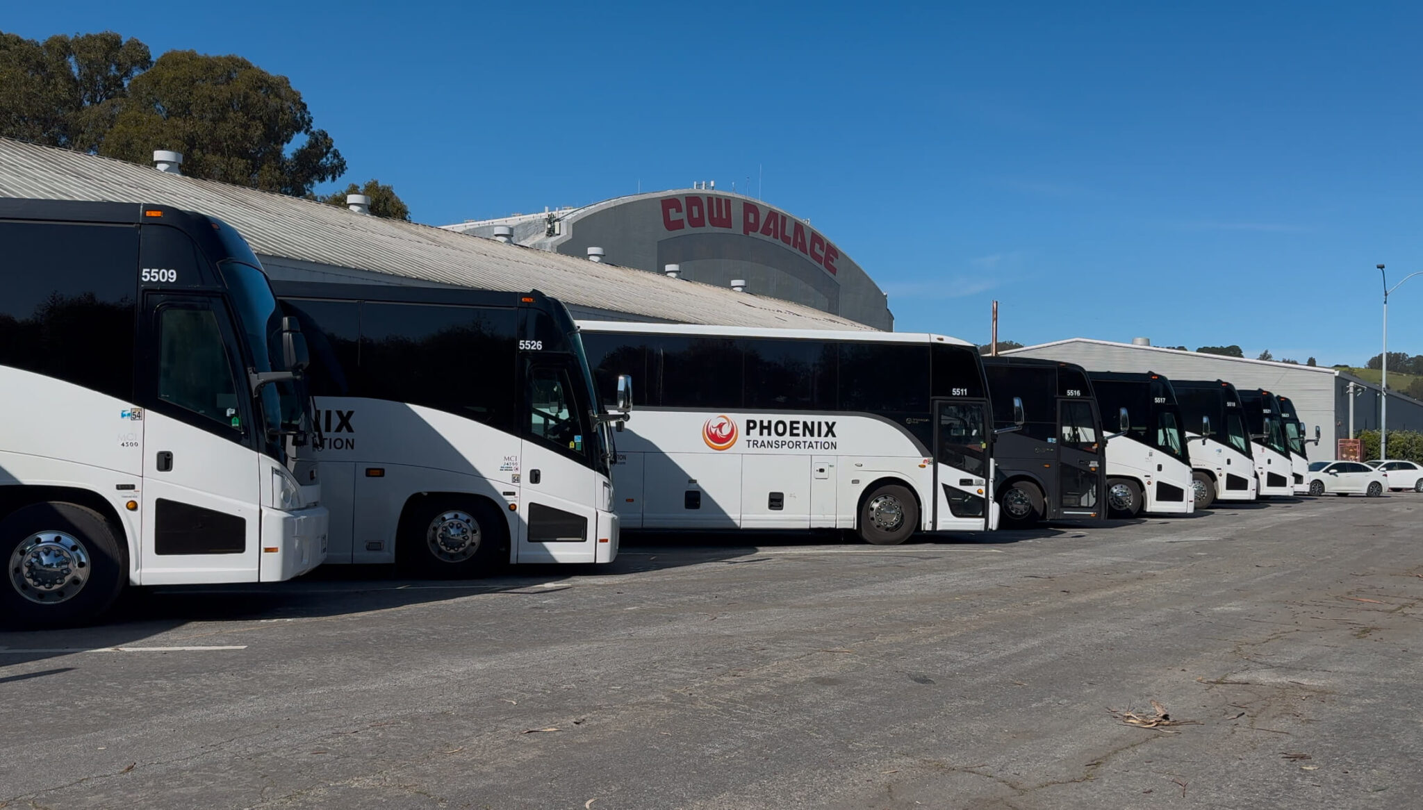 Best San Francisco Bus Rental | Phoenix Transportation SF