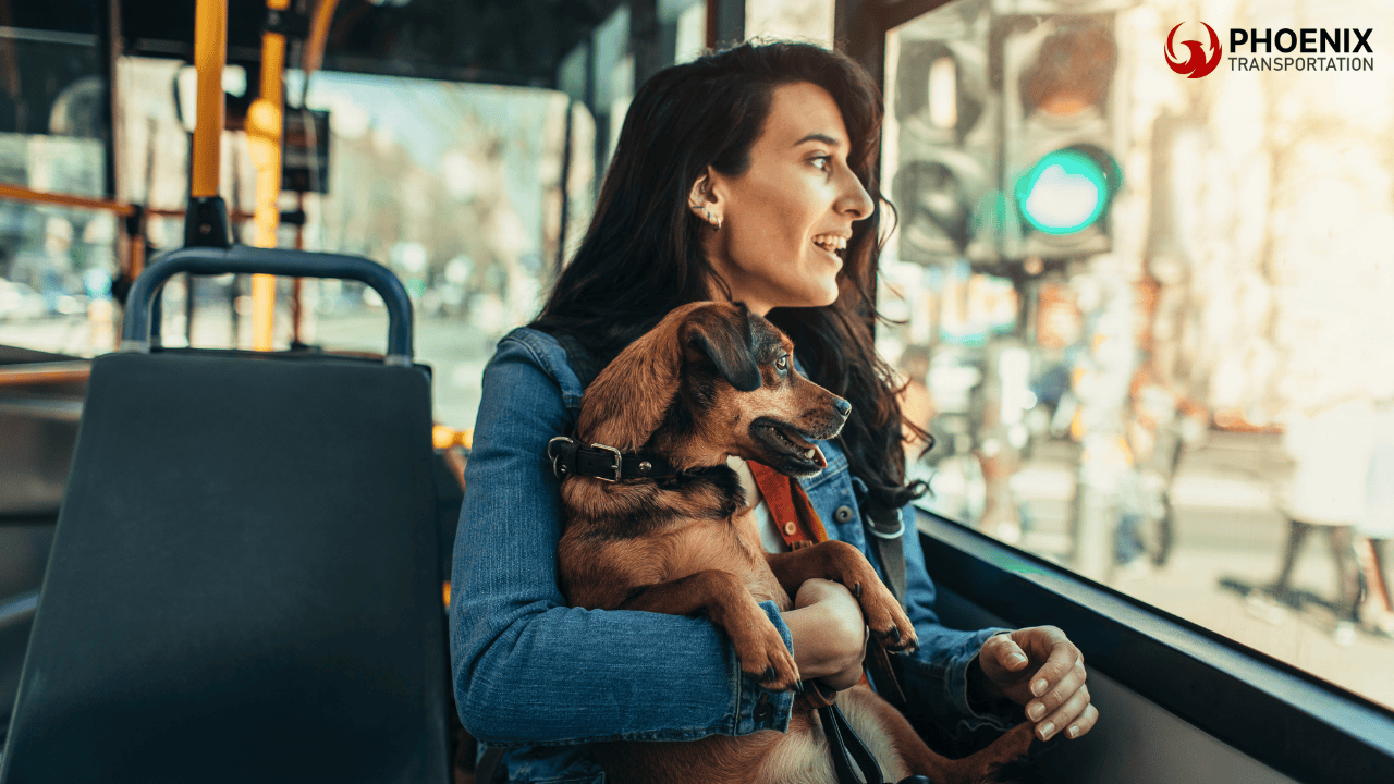 The Best Pet-Friendly Group Travel Services in San Francisco