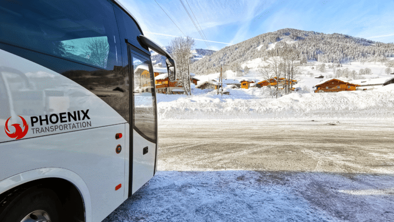 How Long Is a School Bus and Why Does Size Matter?