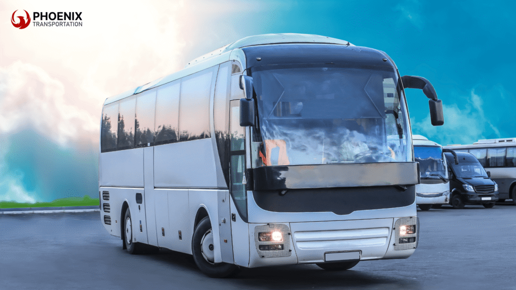 How Long Is a School Bus and Why Does Size Matter?